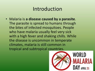 World malaria Day ppt.pptx