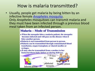 World malaria Day ppt.pptx