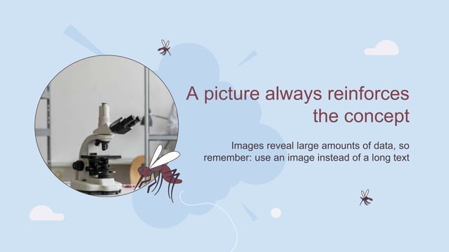 World Mosquito Day by Slidesgo.pptx