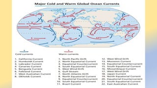 World ocean currents | PPTX