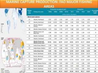 World Ocean Fisheries By B.pptx