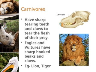 Chapter 7 World of Animals Grade 4.pptx