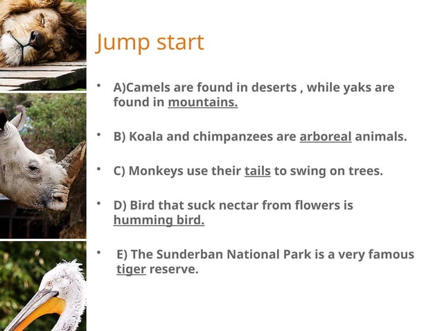 Chapter 7 World of Animals Grade 4.pptx