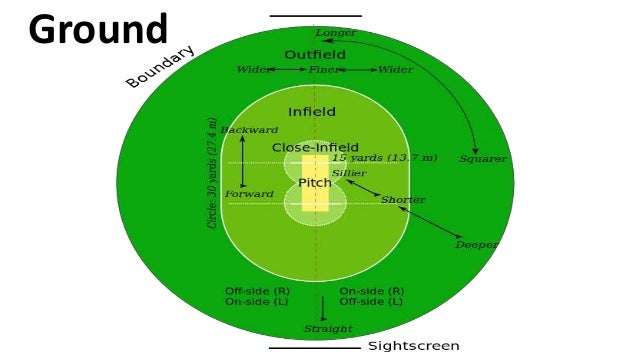 World of Cricket, an introduction