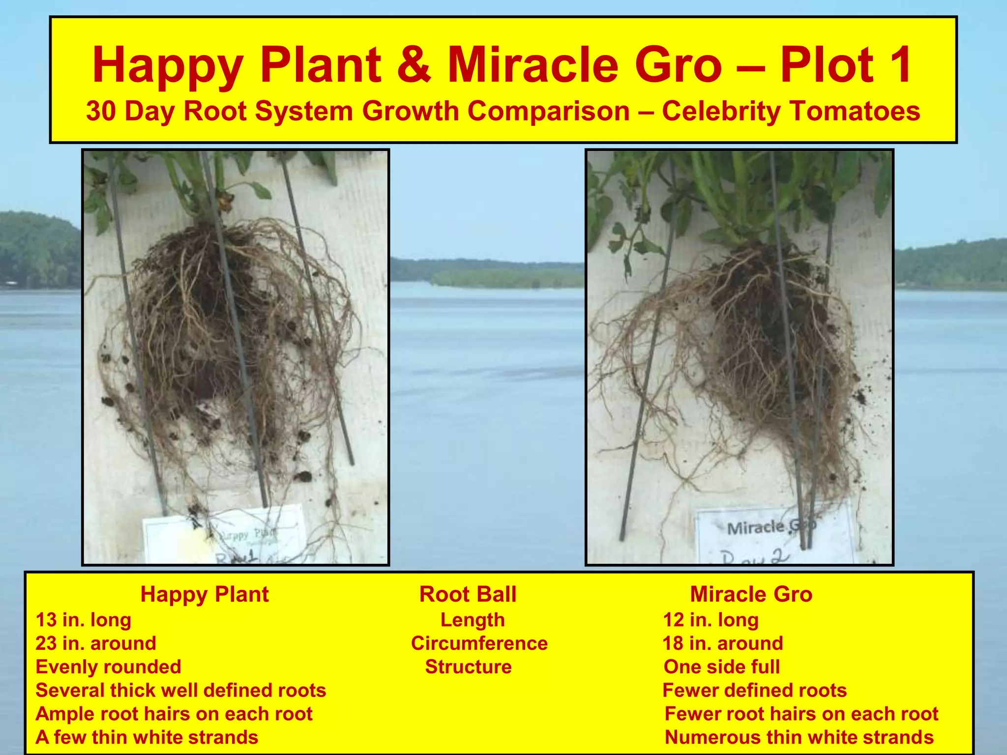 World Of Humates | PPTX