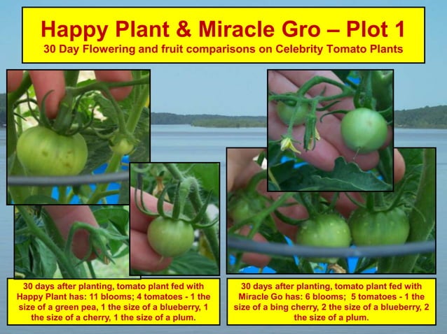 World Of Humates | PPTX | Agriculture | Industries