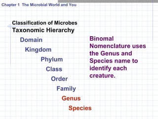 World of Microbes Microbiology Introduction.ppt