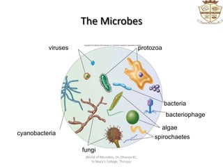 World of microbes | PPT