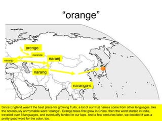 A World of Words | PPT