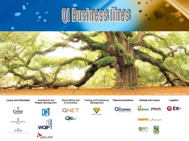 QNET Business Plan | PPT | Business | Business and Finance