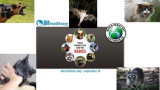 Rabies- World rabies day | PPTX