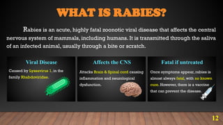 World Rabies day 2024-1.pptx epidemiology,symptoms and management | PPTX