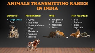 World Rabies day 2024-1.pptx epidemiology,symptoms and management | PPTX