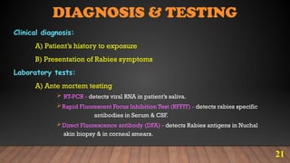 World Rabies day 2024-1.pptx epidemiology,symptoms and management | PPTX