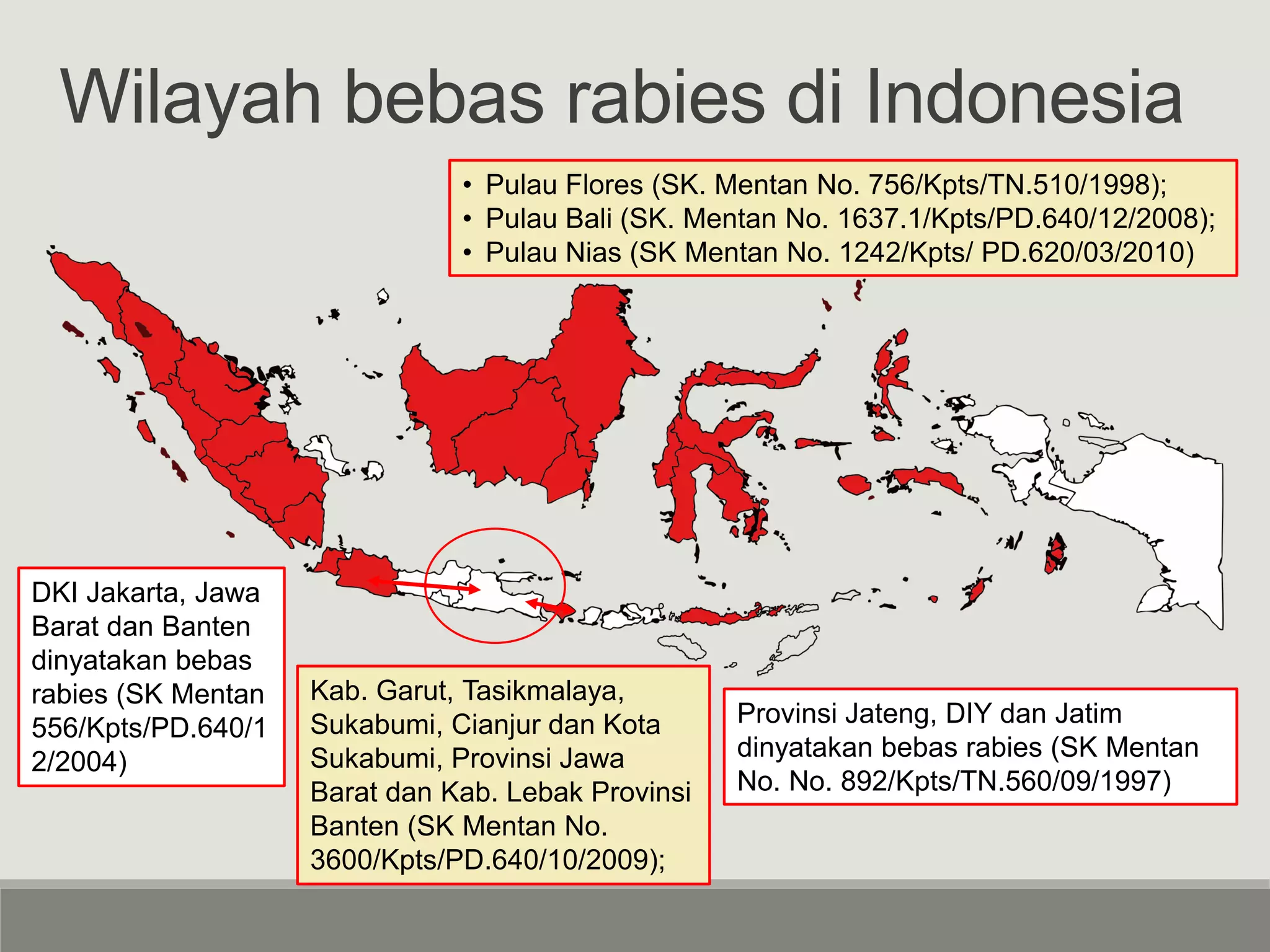 Peringatan World Rabies Day - Pusvetma, Surabaya, 7 Oktober 2018 | PPT