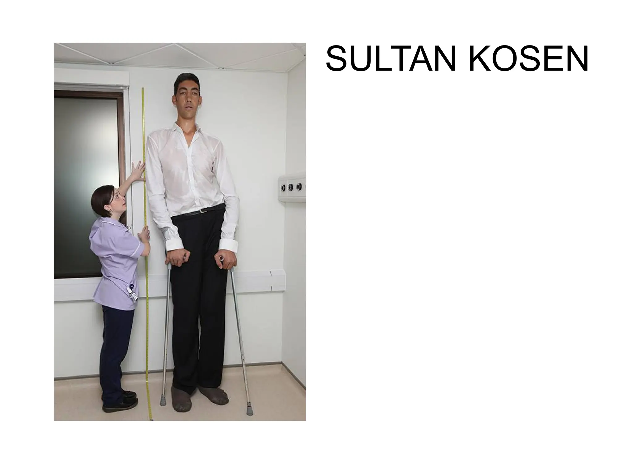 world records superlative adjectives presentation | PDF