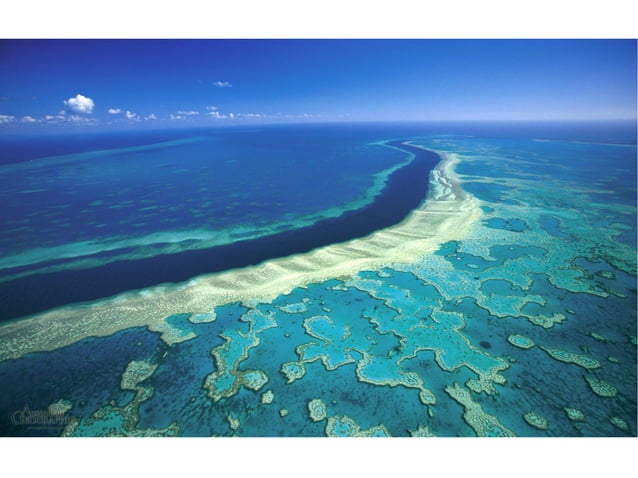 world records superlative adjectives presentation | PDF