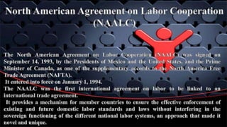 Worlds best-power point-t.3672452.powerpoint | PPTX