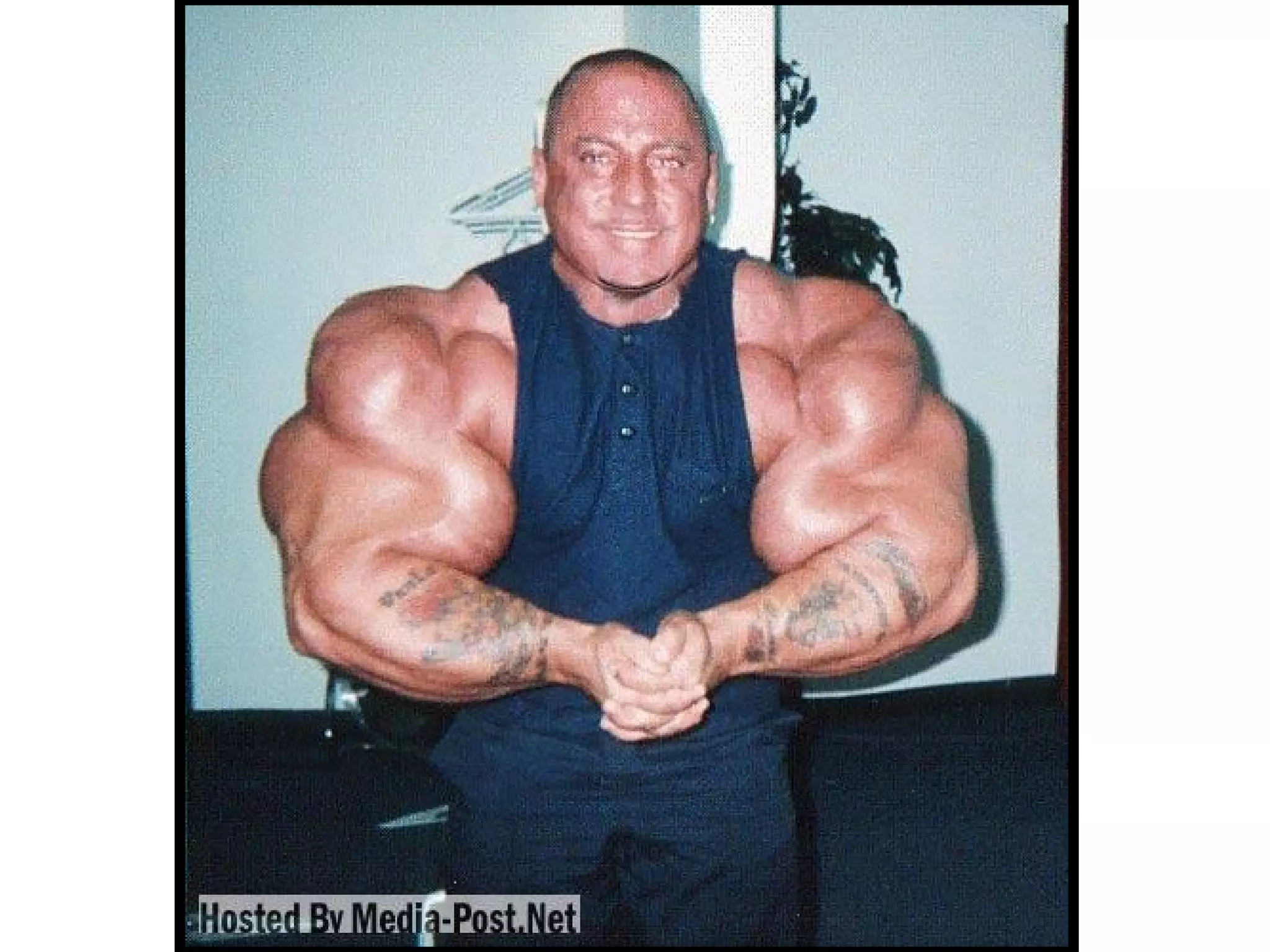 Worlds Largest Arms | PPT
