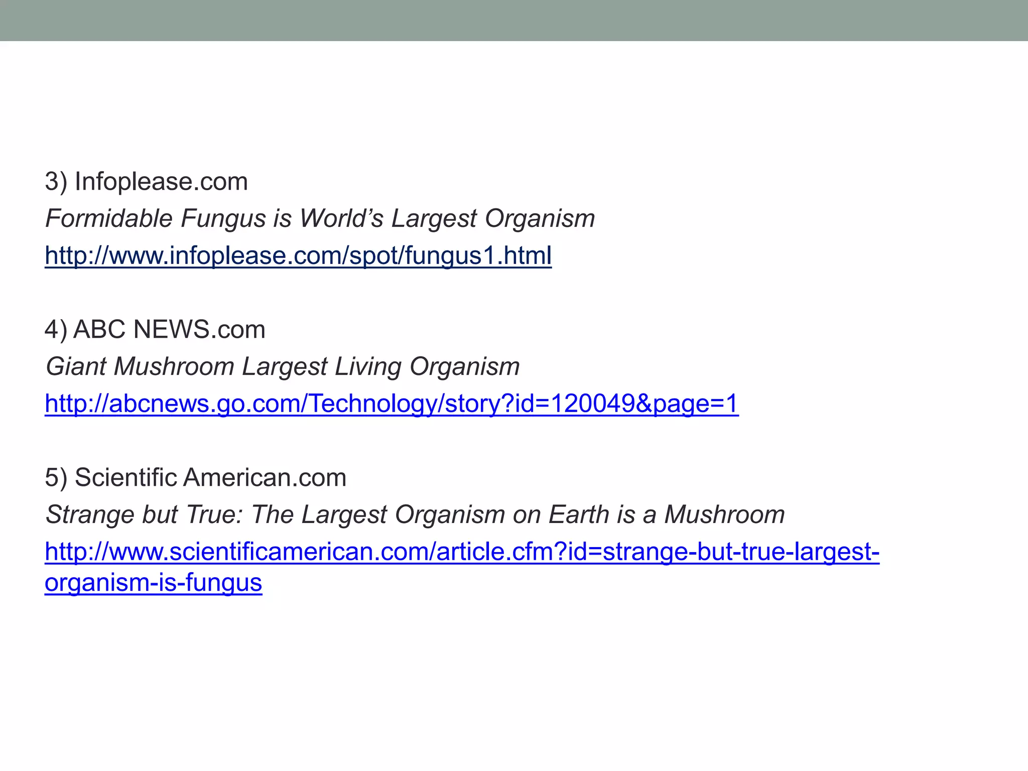 World's biggest mushroom | PPT