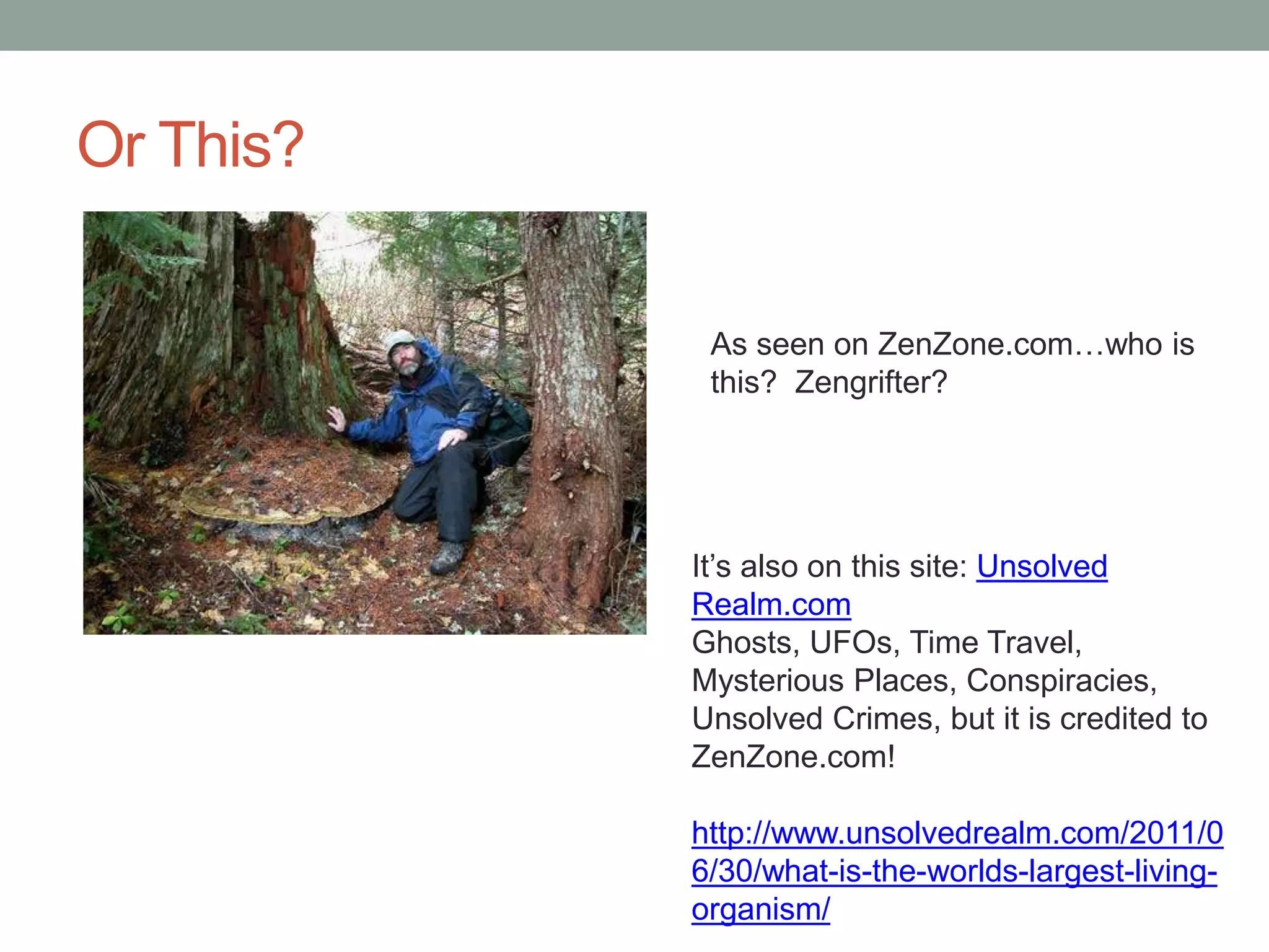 World's biggest mushroom | PPT