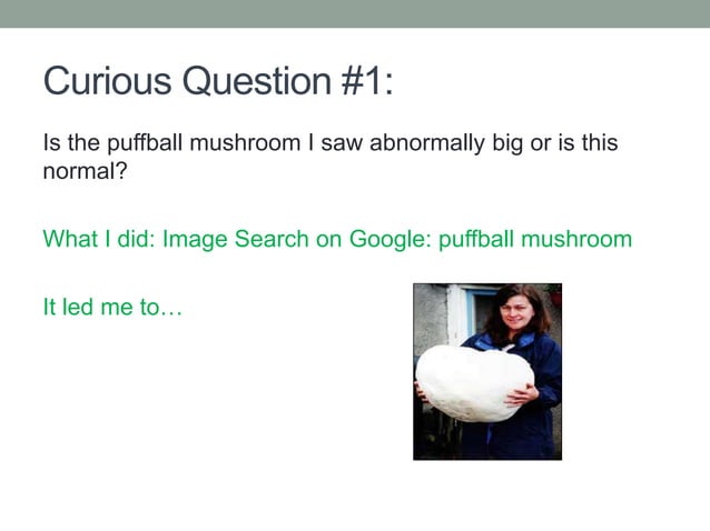 World's biggest mushroom | PPT