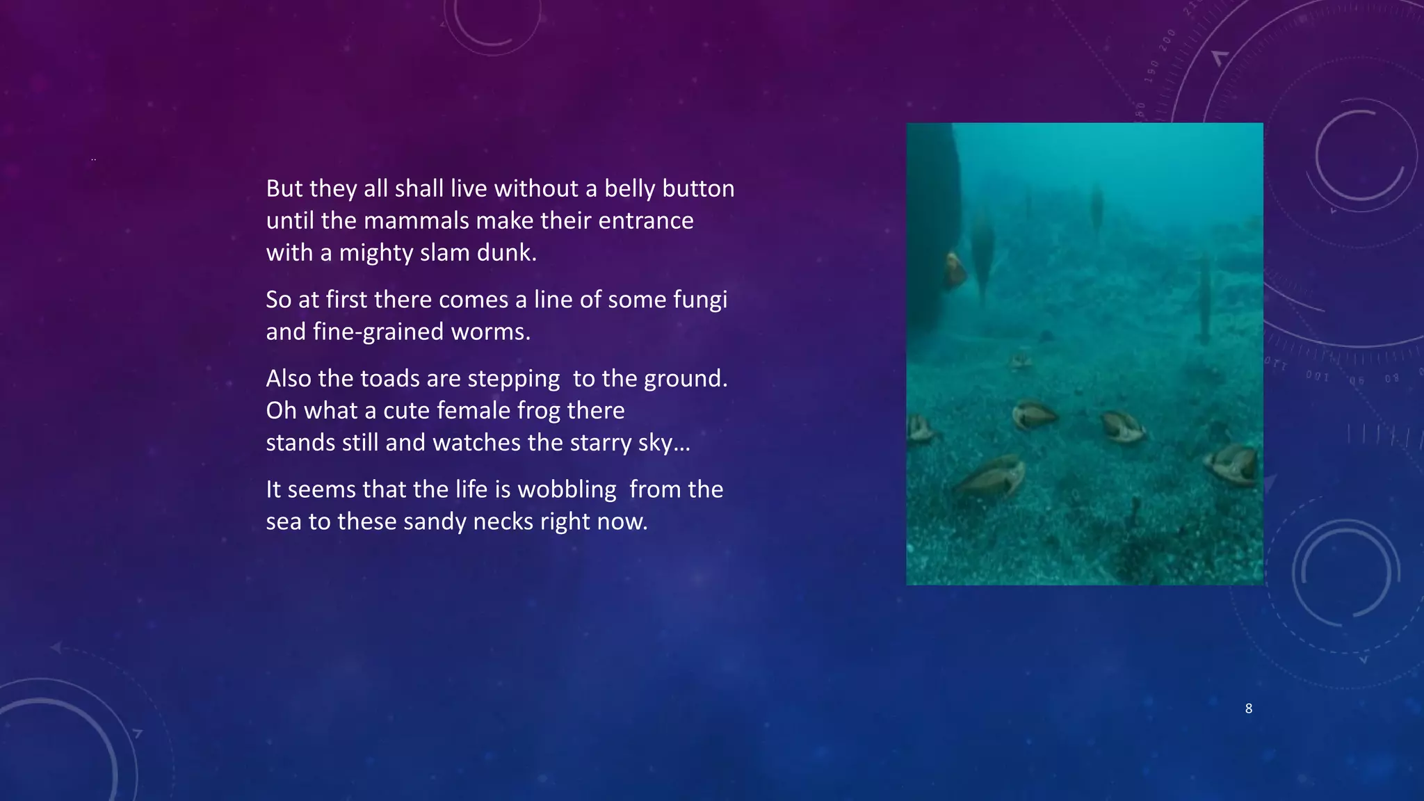 World S Longest Palindrome With True Quality Full Translation Ppt