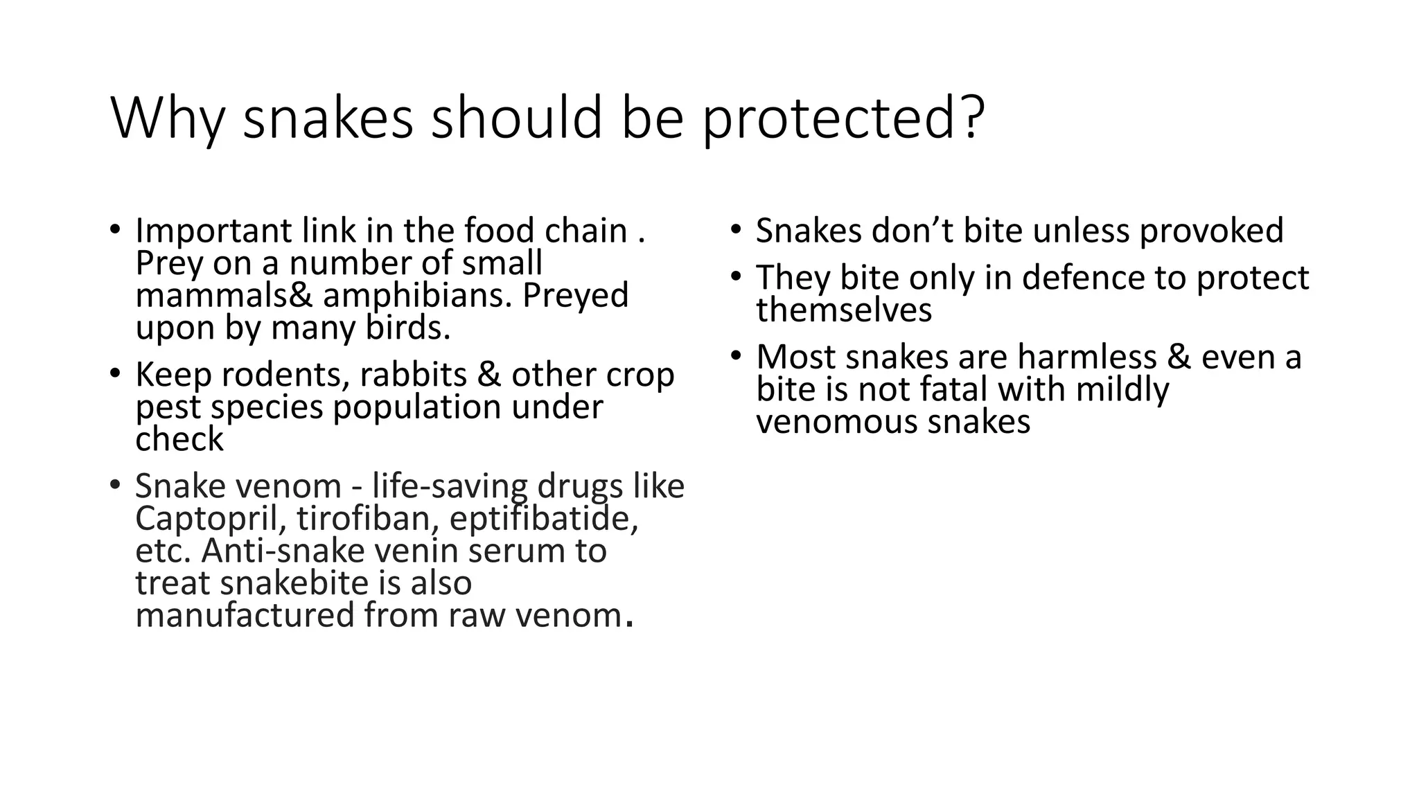 World Snake Day.pptx