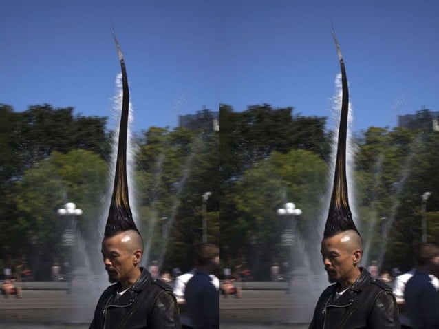 World's tallest mohawk | PPT