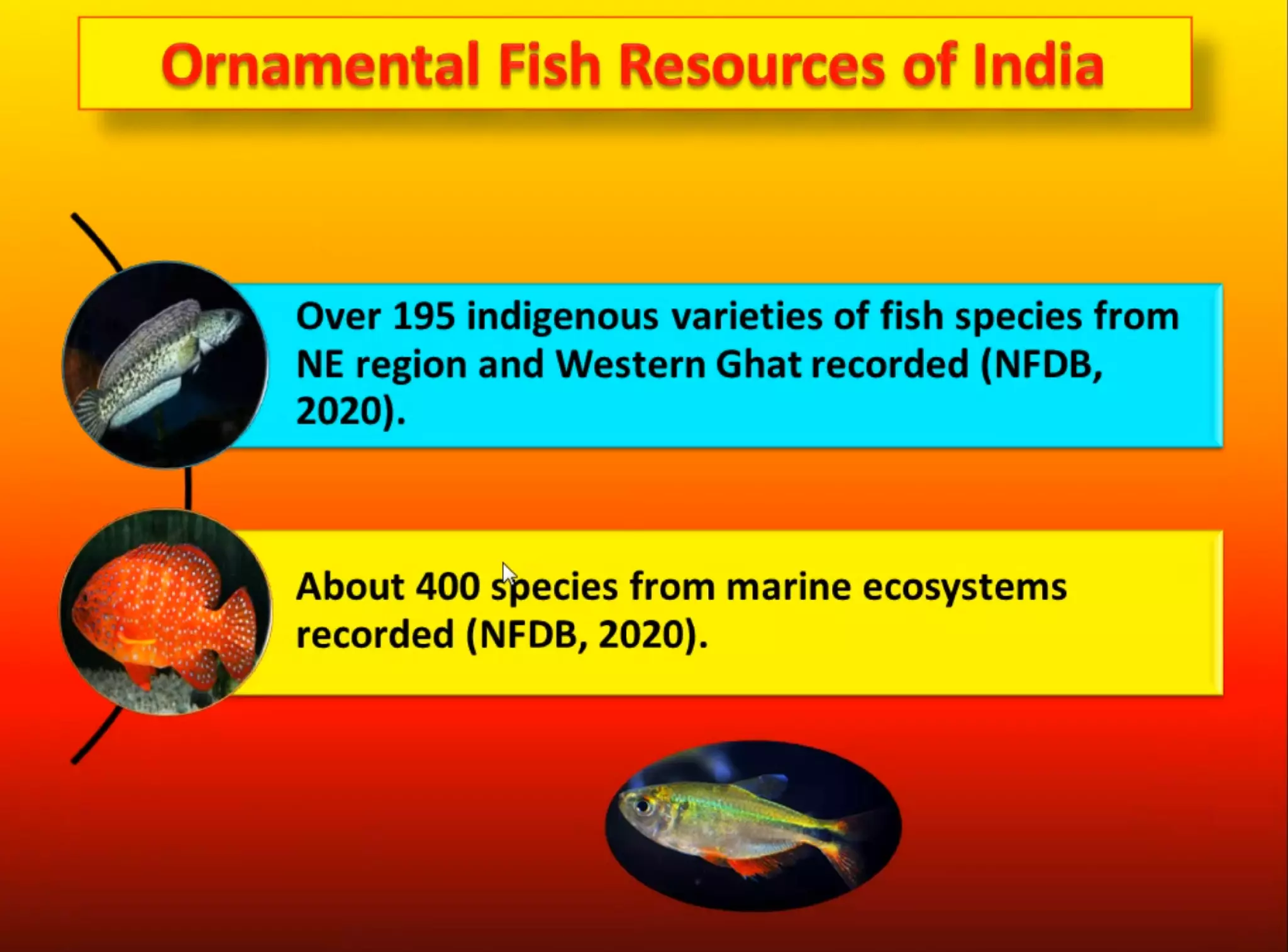 WORLD TRADE OF ORNAMENTAL FISH AND EXPORT POTENTIAL AND DIFFERENT ...