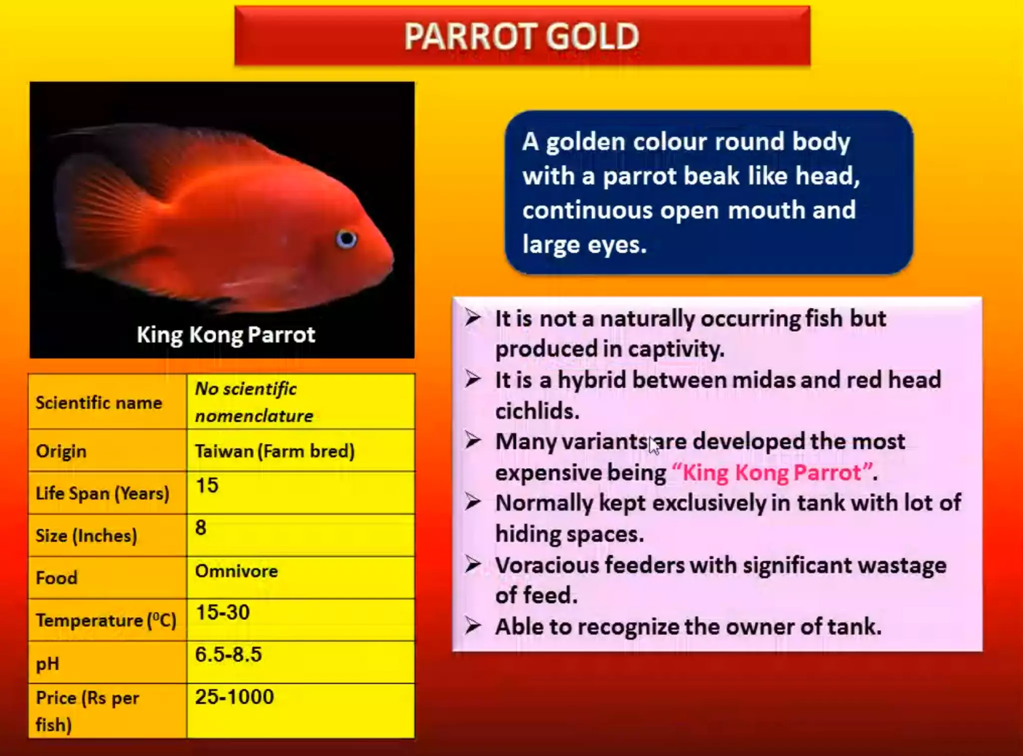 WORLD TRADE OF ORNAMENTAL FISH AND EXPORT POTENTIAL AND DIFFERENT ...