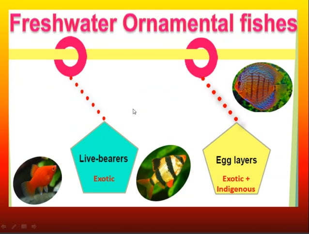 WORLD TRADE OF ORNAMENTAL FISH AND EXPORT POTENTIAL AND DIFFERENT ...