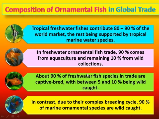 WORLD TRADE OF ORNAMENTAL FISH AND EXPORT POTENTIAL AND DIFFERENT ...