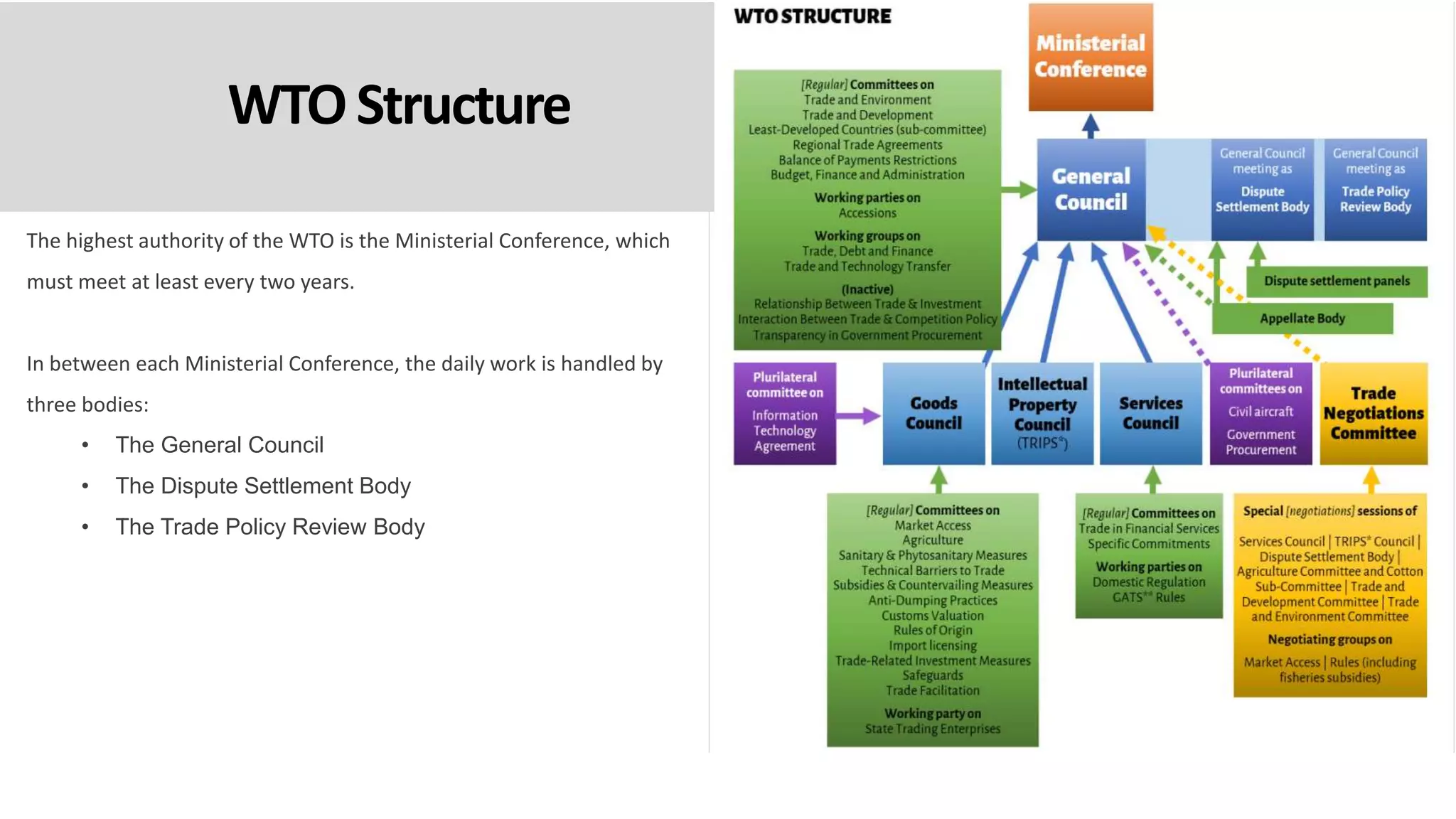 World trade organization | PPT
