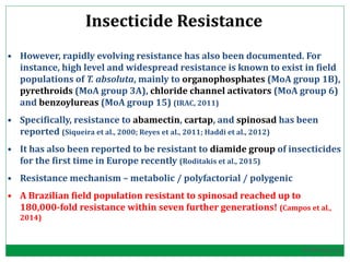 WorldVeg_Tuta absoluta new insect pest in Asia_Srini Ramasamy.pptx.pdf