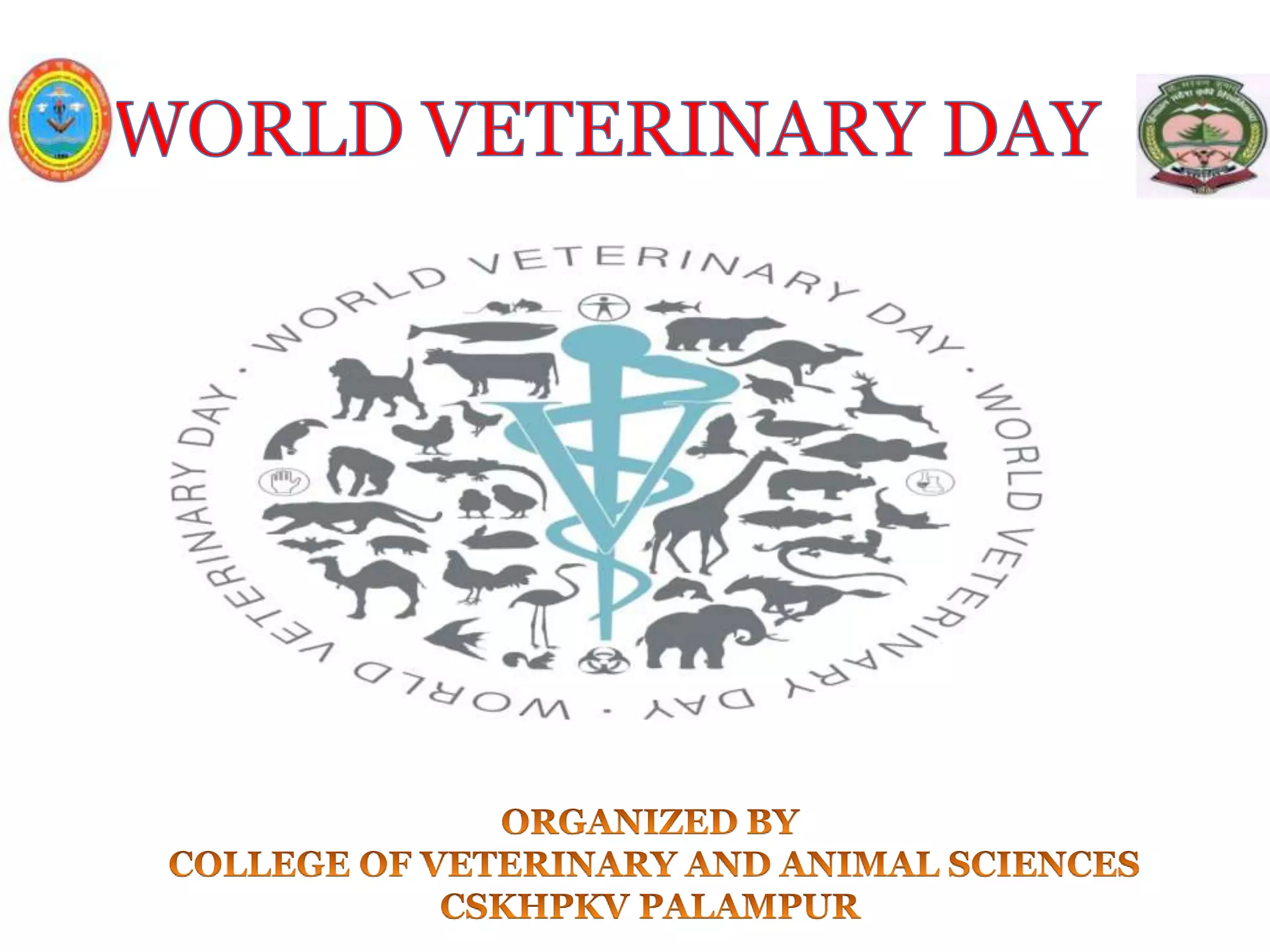 World vet quiz 2013 | PPT