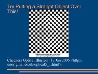 Straight Object Optical Illusion