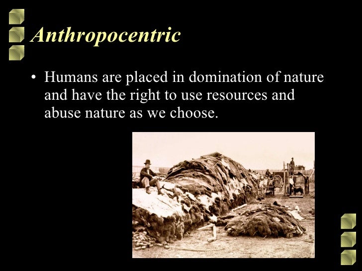 Worldviews and ethical perspective