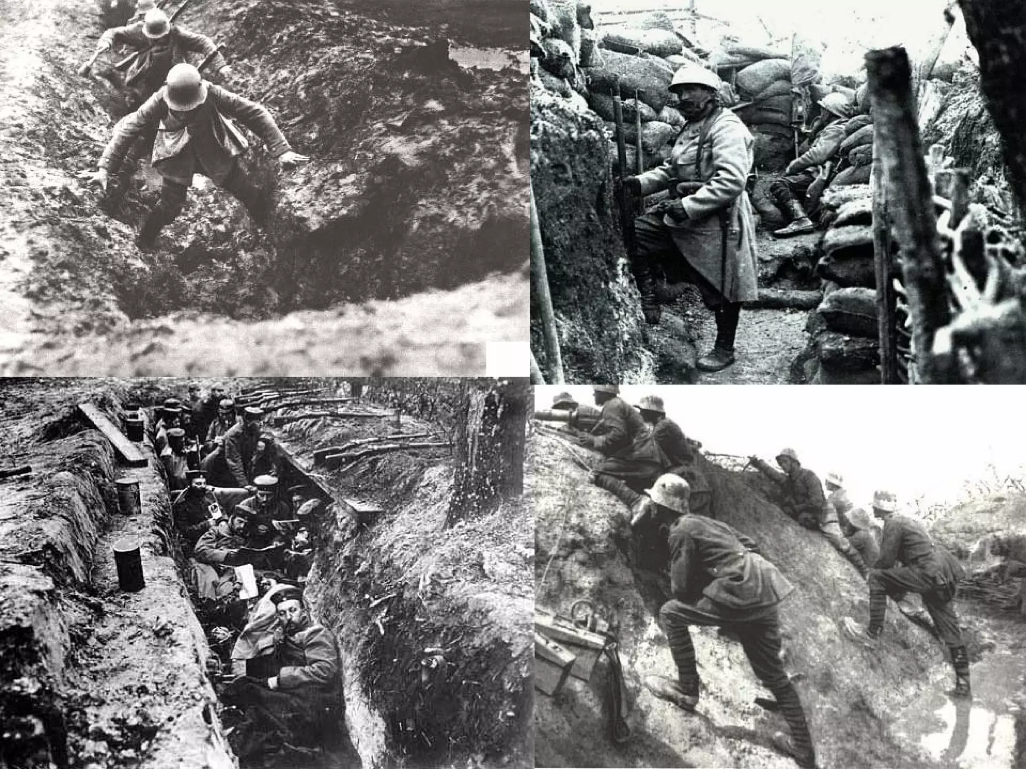 world war 1 in pictures | PPT