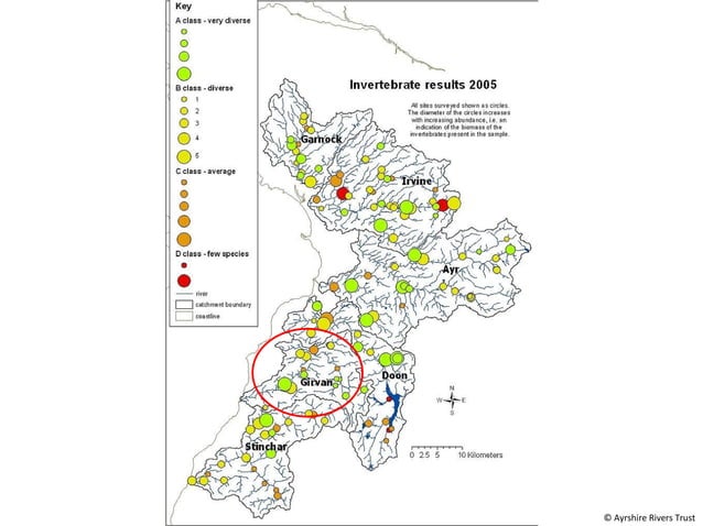 Water quality and bugs | PPT