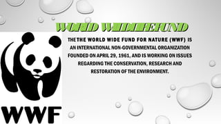 Worldwide ecology organizations | PPT