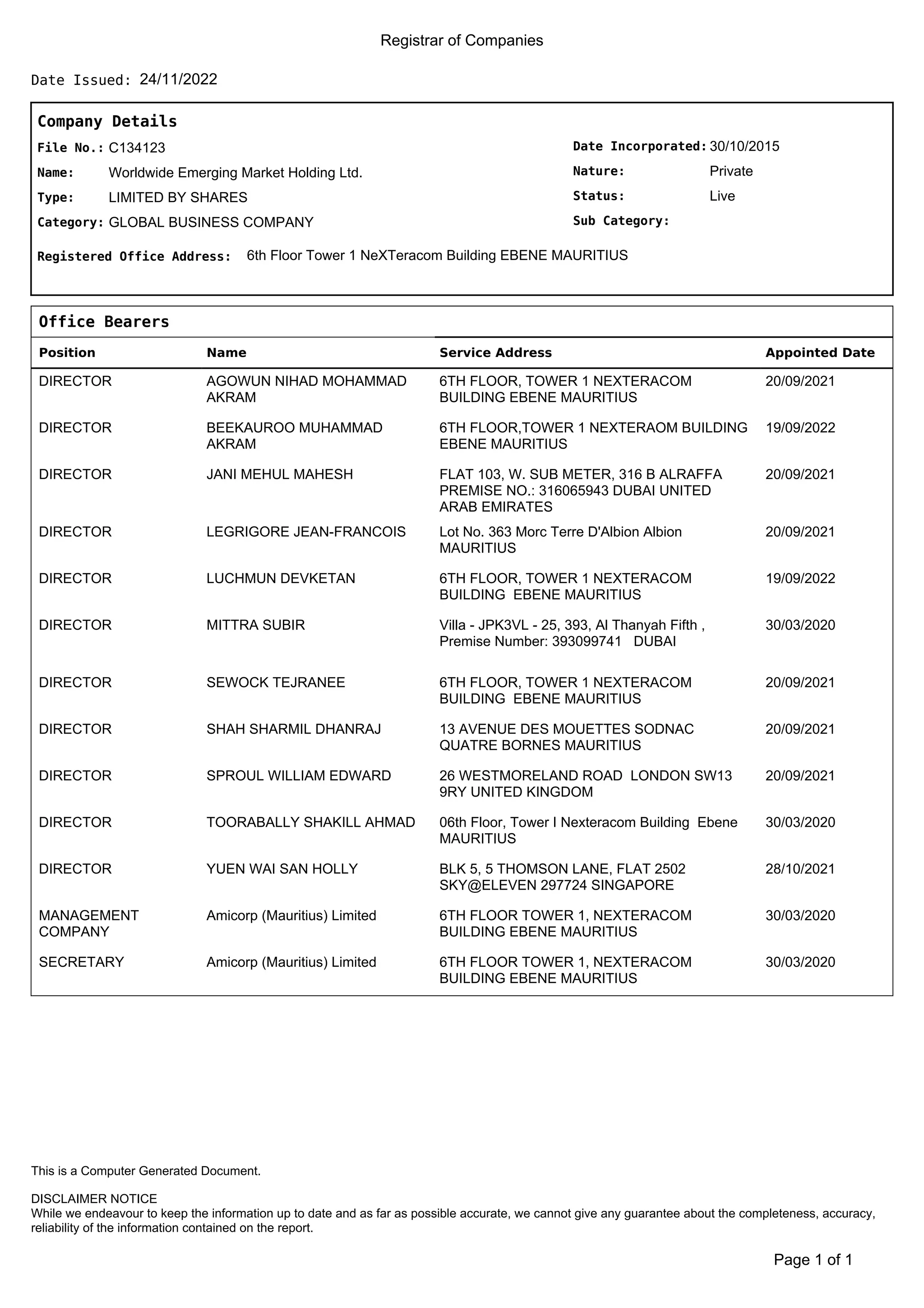 Worldwide Emerging Market Holding.pdf