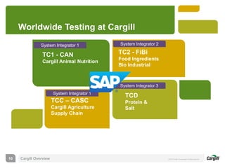Worldwide Testing & Cutover at Cargill - Daniele Hernandez-Aita & Leo ...