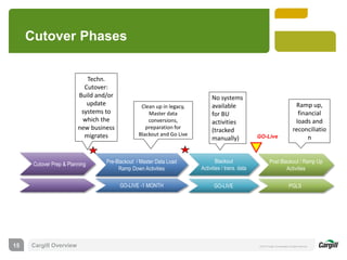 Worldwide Testing & Cutover at Cargill - Daniele Hernandez-Aita & Leo ...