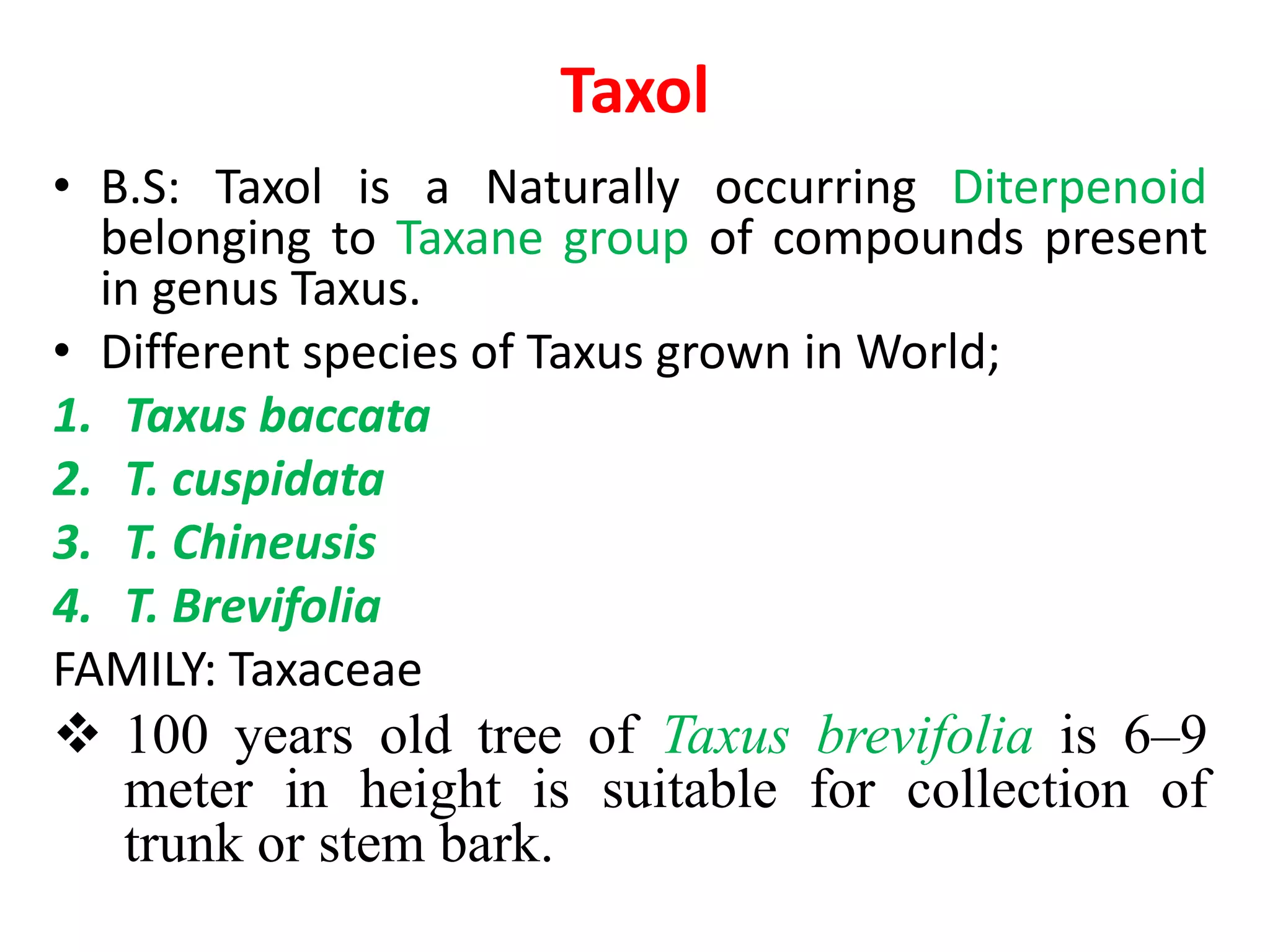 World wide trade in medicinal plants | PPTX