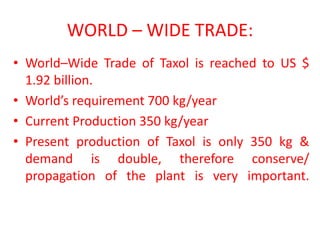 World wide trade in medicinal plants | PPTX
