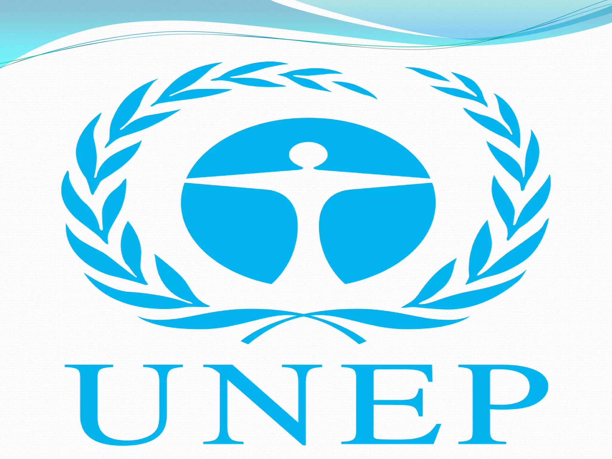 World wildlife fund and united states of environmental plans | PPT