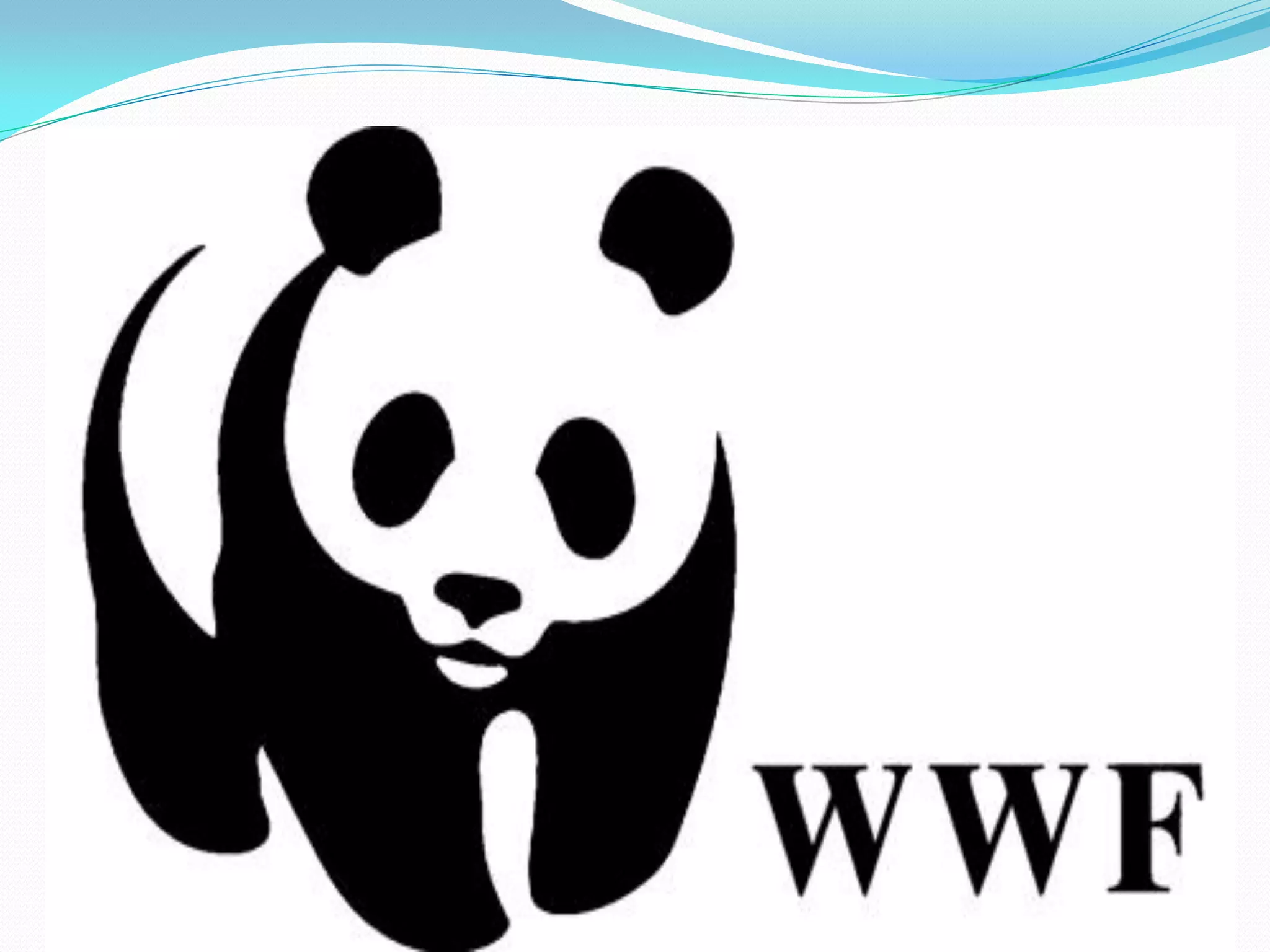 World wildlife fund and united states of environmental plans | PPT