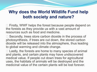 World wildlife fund and united states of environmental plans | PDF