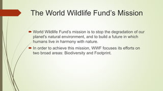 World wildlife fund (bb citizenship badge) | PPT